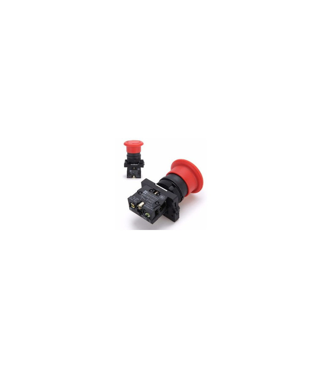 FLUSH BUTTON Φ22 MUSHROOM-TYPE WITH SOLDERING BS542ES542